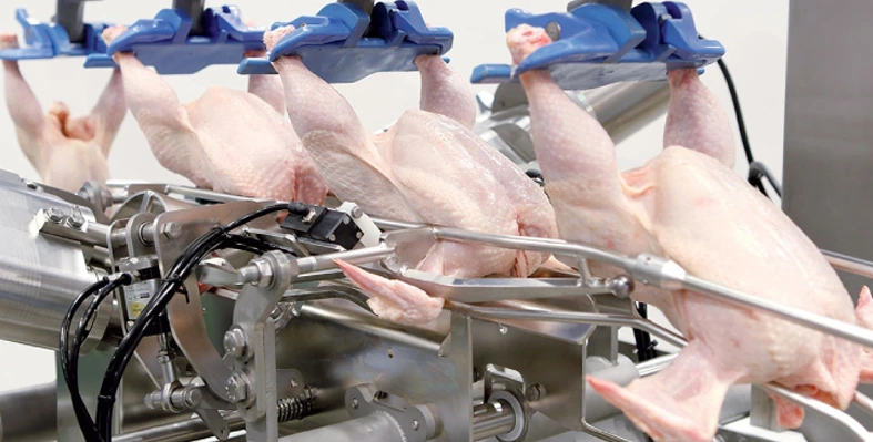 Welcome to African Farming